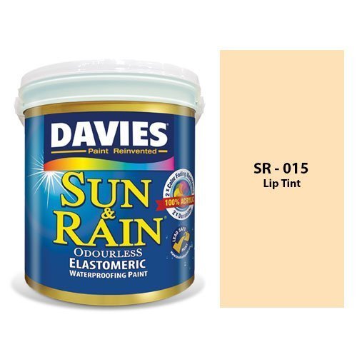 Davies Sun & Rain Lip Tint – Playful Exterior Emulsion in Pink Coral ...
